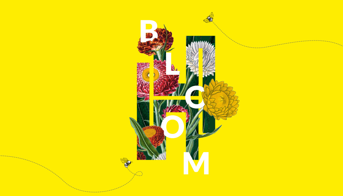 Bloom in 2024 - Happy Holidays from Hive